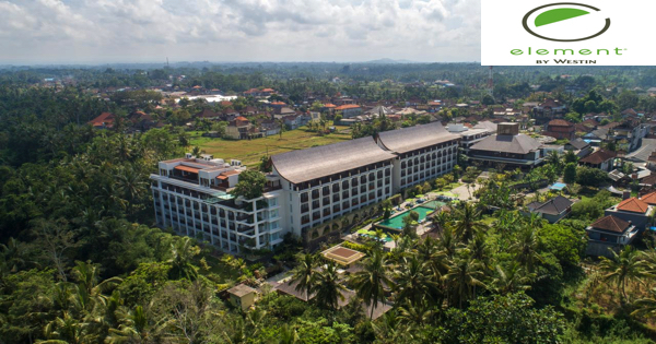 Job Openings at Element Bali Ubud Bali | 2022 - Maldives Vacancies